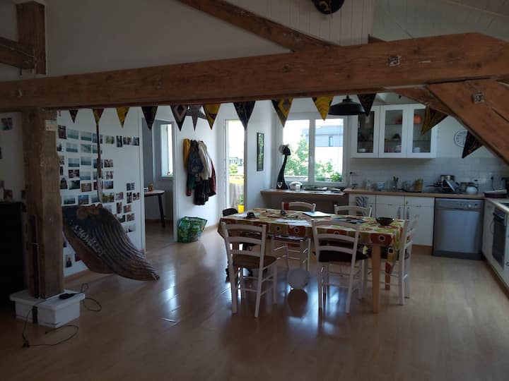 Charming Apartement In The Center Of Ferney - Gex