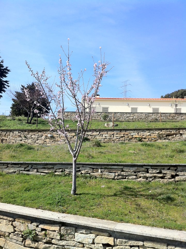 House 4 Rooms Douro River - Fermoselle