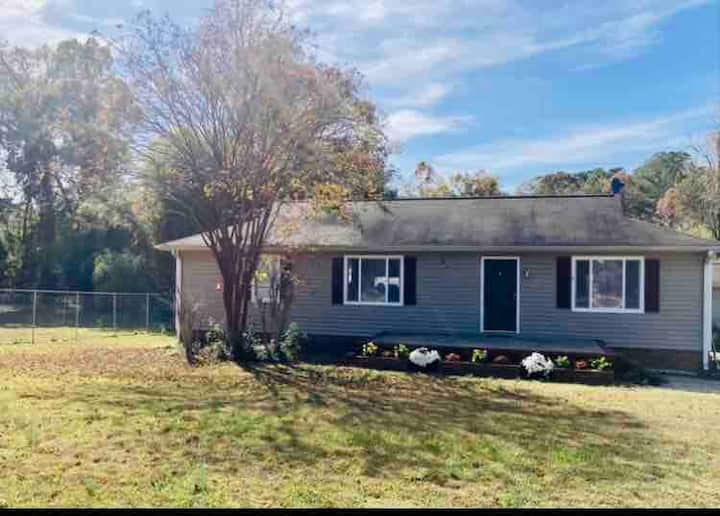 Newly Remodeled Cozy 3bedroom/2bath Single Home - Spartanburg