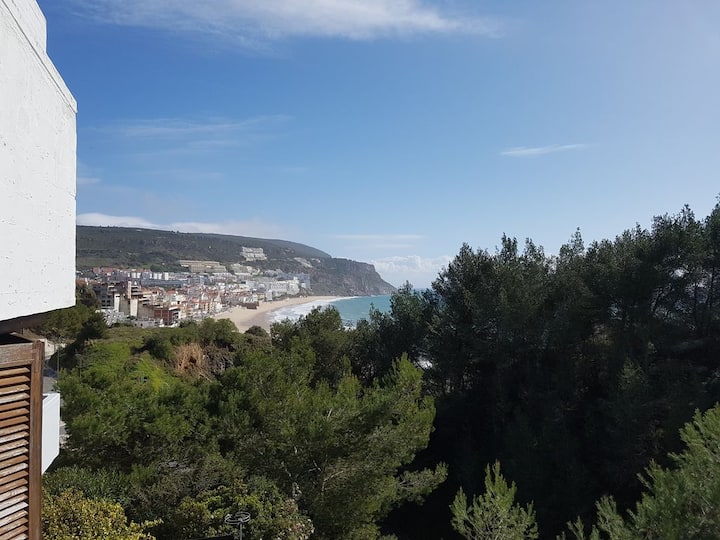 Apartment With Swimming Pool, 25 M From The Beach - Alentejo