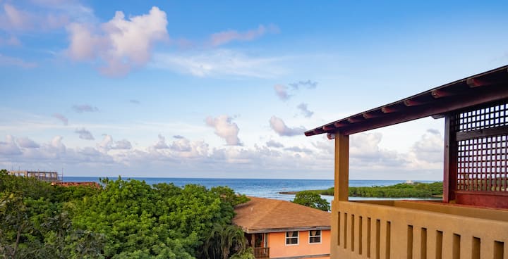 Mangrove Dock Penthouse W/ Roof Terrace - Sandy Bay