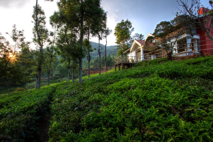 Blue Ridge Twin Stone Cottages In Ketti Valley - Coonoor