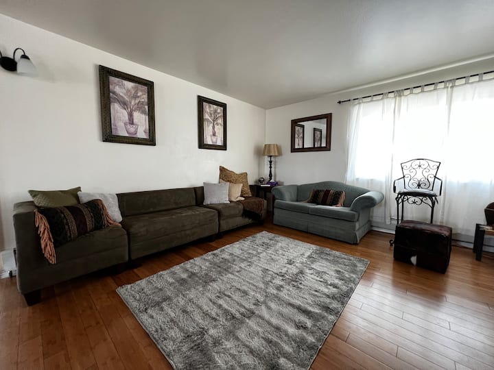 Large Apartment With Great View - Buena Vista, CO