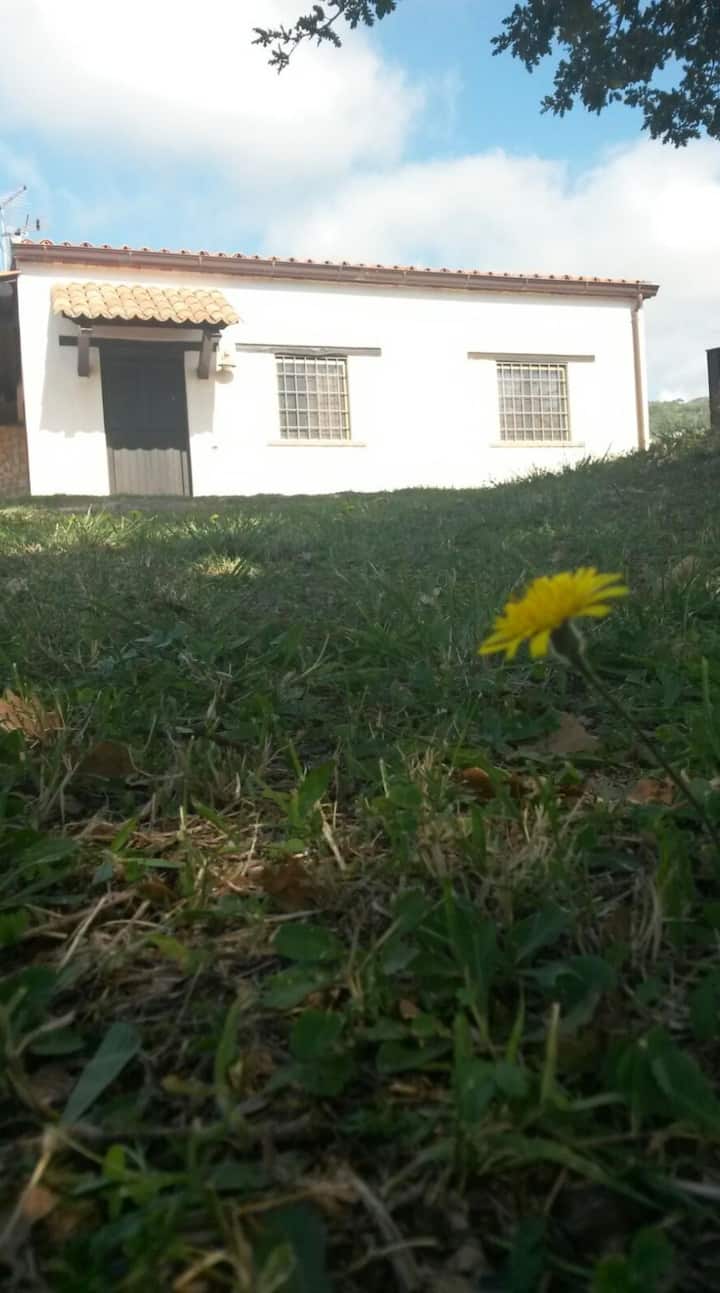 Casetta Panoramica A Cetraro A Solo 3 Km Dal Mare - Guardia Piemontese