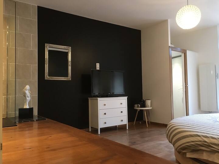 Chambre De 30m2 Au Calme Dans Une Résidence Privée - Doucier