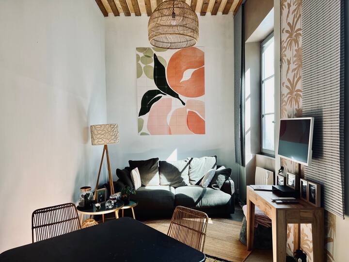 Appartement Des Canuts - Bord De Saône - Lyon