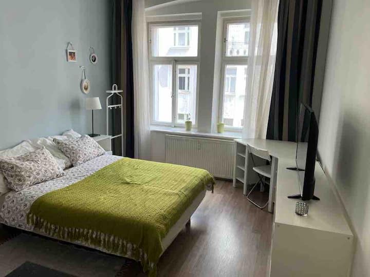 Vyšehrad Apartment - Prague