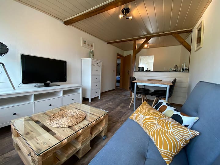 Schöne Dachgeschosswohnung In Magdeburg Für 1-5 P. - Magdeburg