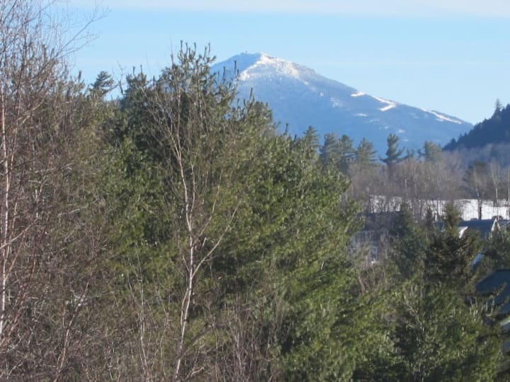 Beautiful Townhouse W/ Amazing View - Lake Placid, NY