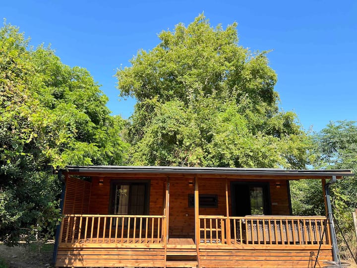 Люкс Бунгало 130 метров до моря/Denize 130 Metre - Turkey