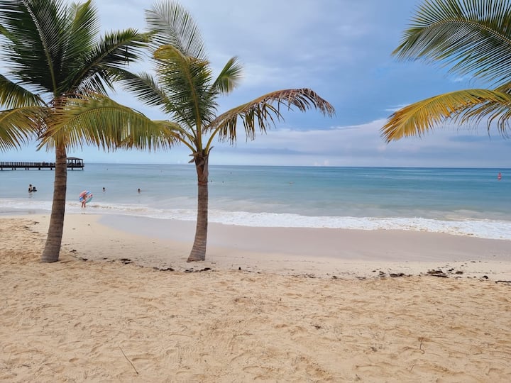 Oceanview Beachside Penthouse With Private Pooll - Punta Cana