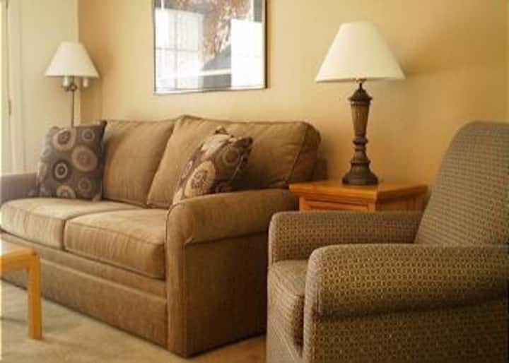 Spring Break Alpenrose Ski Condo Sleeps 6 - Breckenridge - Breckenridge, CO