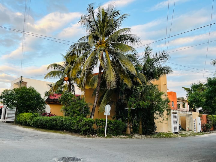 Sunshine Suite.  Nuevo Con A/c En Cozumel - Cozumel