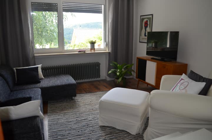 Nice Apartment 64 Sq.m With Cozy Terrace - Bad Herrenalb
