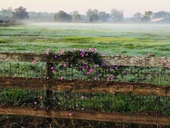 14 Best Things To Do In Angleton, Texas | Trip101