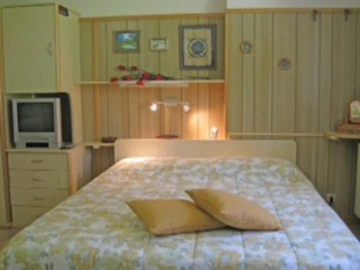 Monolocale Luxury A 100 Mt Dalle Piste - Tonale - Ponte di Legno