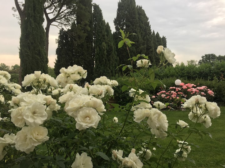 Maison Des Roses - Imola