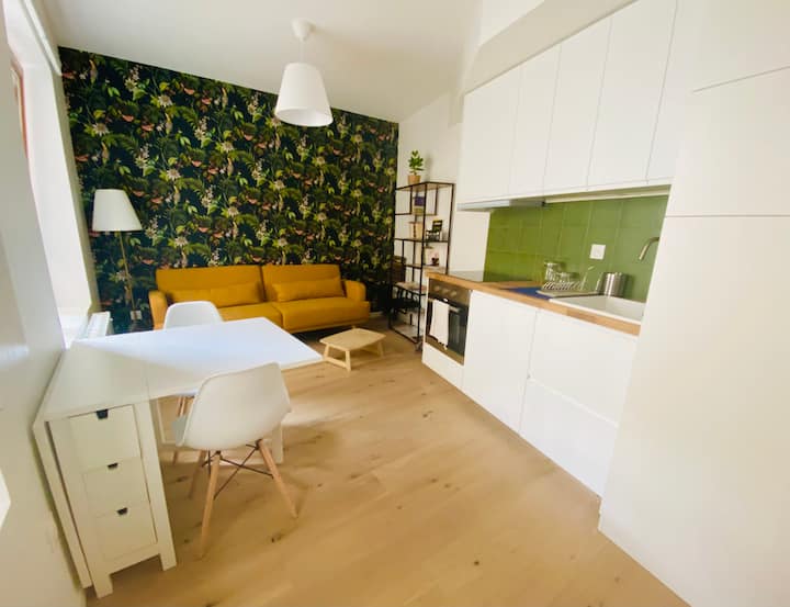 Strasbourg - Gare : Charmant Duplex Au Calme - Strassburg