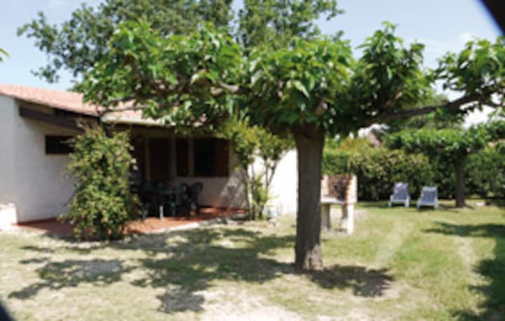 Gîte Dans Les Vignes - Vidauban