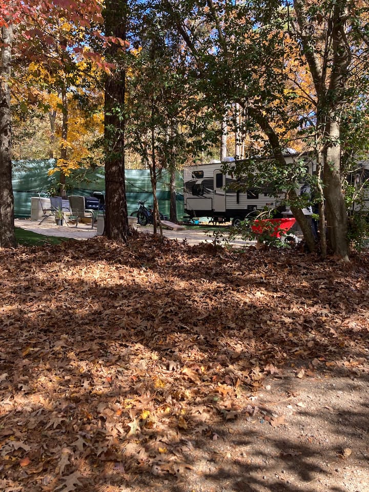 Unique Stay Glamping Rv In Columbia, Sc - Colúmbia, SC