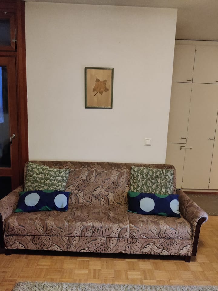 Spacious Espoo Home - 艾斯博