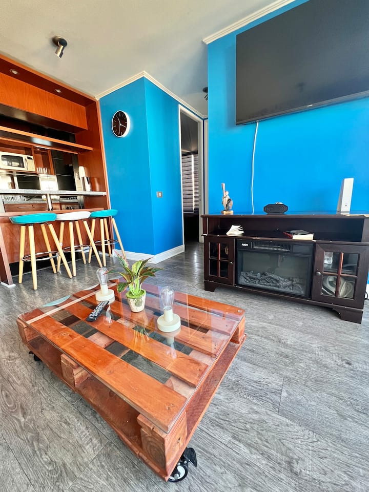 Departamento Sector Manuel Montt Para 3 - Providencia