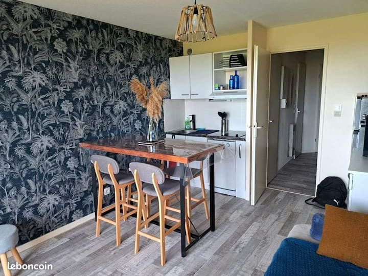 Les Moussettes Appartement 4 Personnes Bord De Mer - 格蘭佛