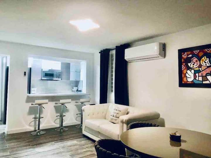 Hemingway Apt/ Near Plaza Del Sol, Casino & Beach - Puerto Rico