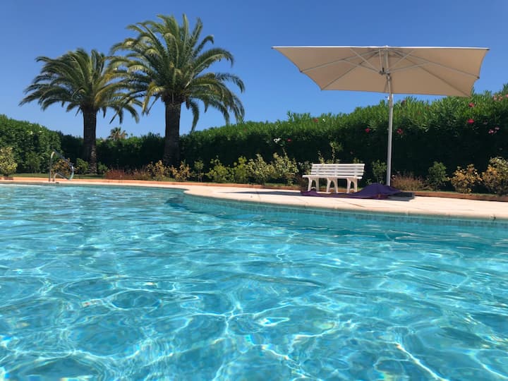 ⭐⭐ ⭐ ⭐⭐ Studio Sur L'île De Cannes Marina - Mandelieu-la-Napoule