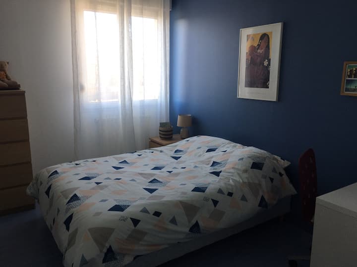 Chambre Meublée à Vourles - Brignais