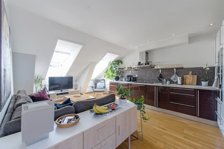 Penthouse, Central In Oslo - Oslo