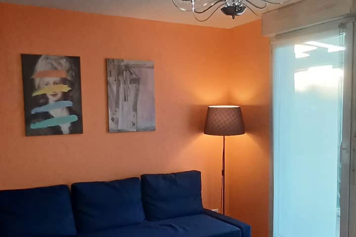 Cosy Colette,climatisé Avec Stationnement Gratuit. - Estrasburgo