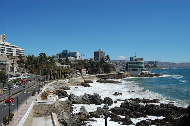 Departamento Céntrico De Viña Del Mar - 비냐델마르