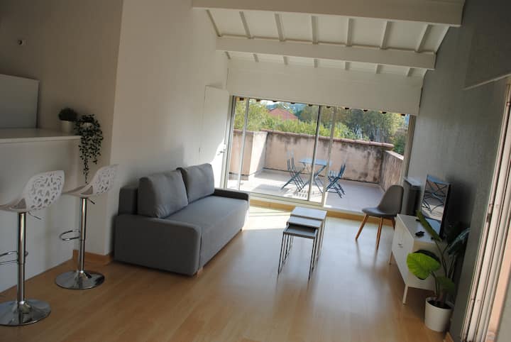Appartement Toit Terrasse Très Lumineux - Le Castellet