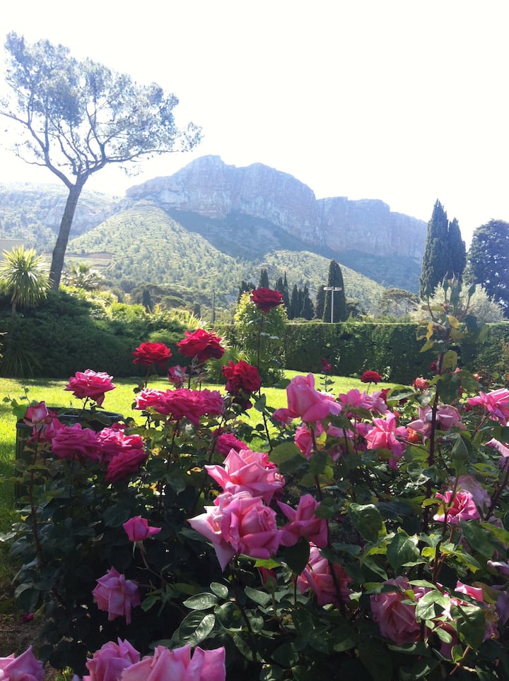 Cassis Superbe Résidence Jardin Calme Mer Parking - Cassis