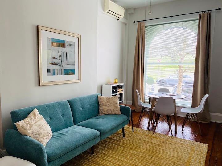 Patterson Park Apt; Walk To Hopkins, Bars, Cafes - Baltimore, MD
