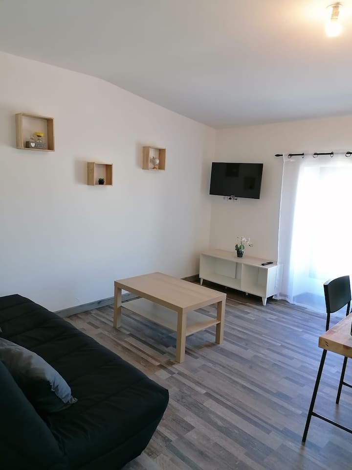 Ours Studio Issoire - Saint-Babel