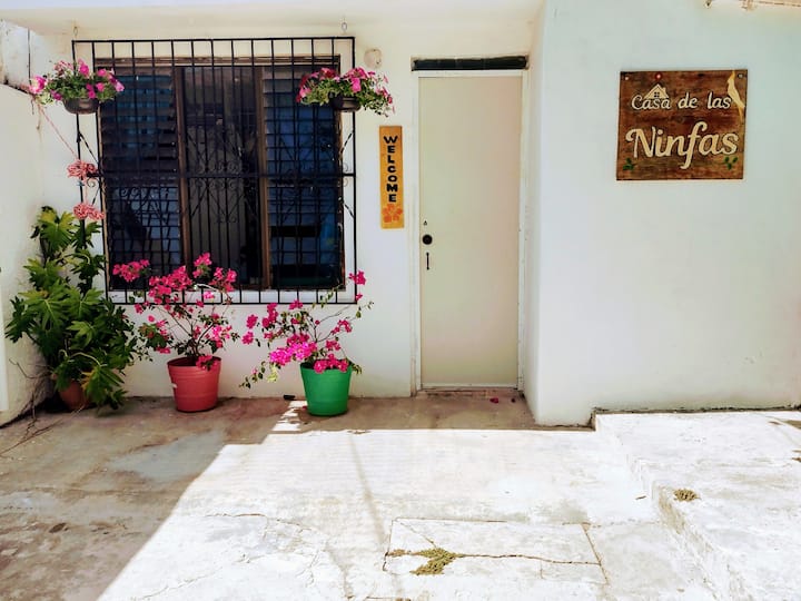 Casa De Las Ninfas 8 - Cancún