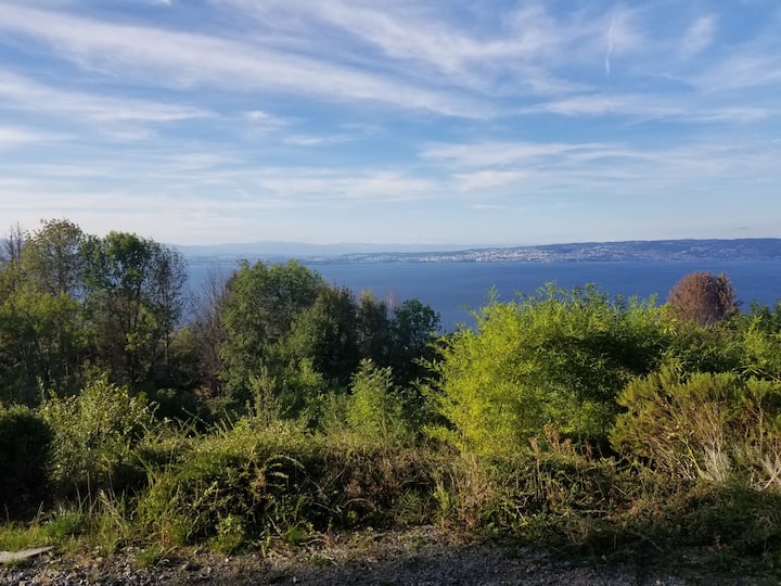 Bel Appartement Entre Lac Et Montagne - Évian-les-Bains