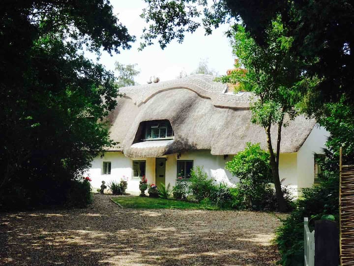 Picture Postcard Thatched Cottage In The Forest - Lymington