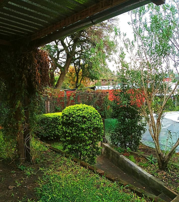 Salto, Termas Y Turismo. - Salto