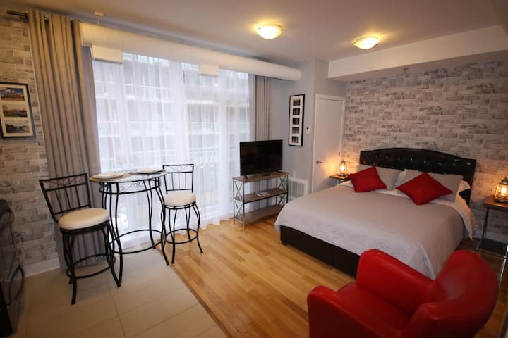 Fully Furnished "G" Studio In Downtown Ottawa - Ottawa