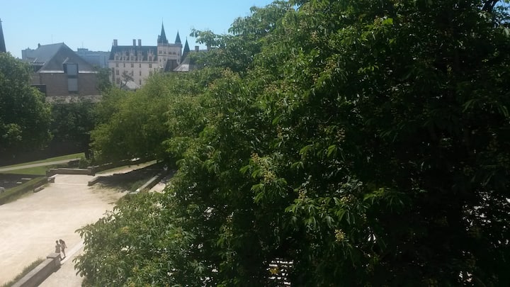Nantes Appartement Face Au Château Des Ducs - Nantes
