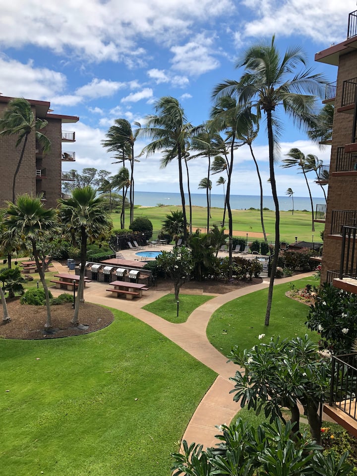 Sugar Beach Oceanfront Sale $150/n Jun-aug - Maui