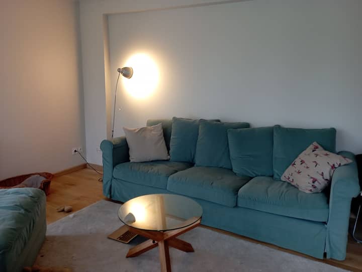 Chambre Dans Appartement Au Bord De L'eau - Strasburgo