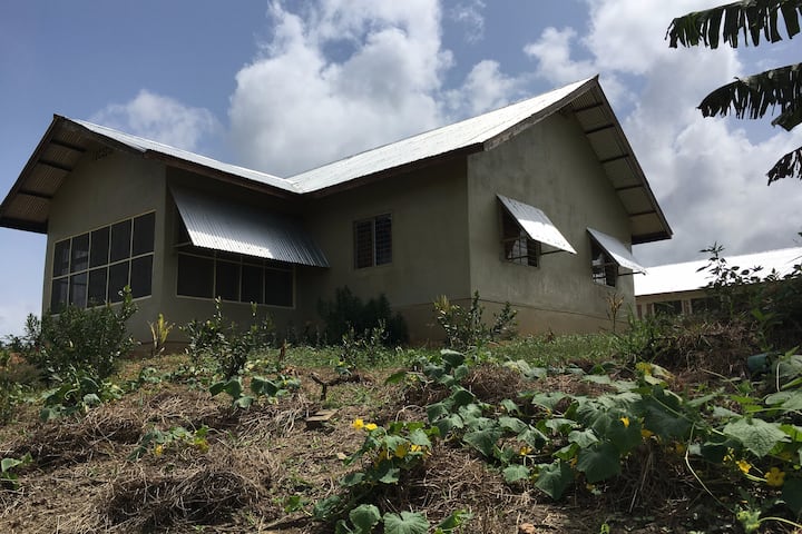 Gbarnga Guesthouse With Tropical View (Room 3) - Libéria