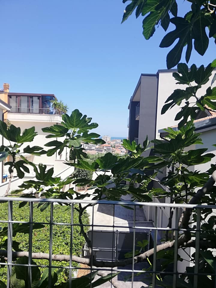 Appartamento Open-space - Montesilvano