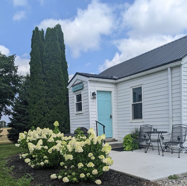 The Crackerbox (2 Br Retreat) - Carson City, MI