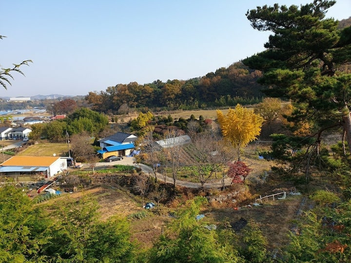 @Yangji.house - Corea del Sud