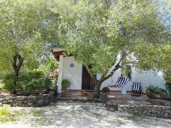 Intero Cottage A 1 Km Dal Centro Di Dorgali - Sardaigne
